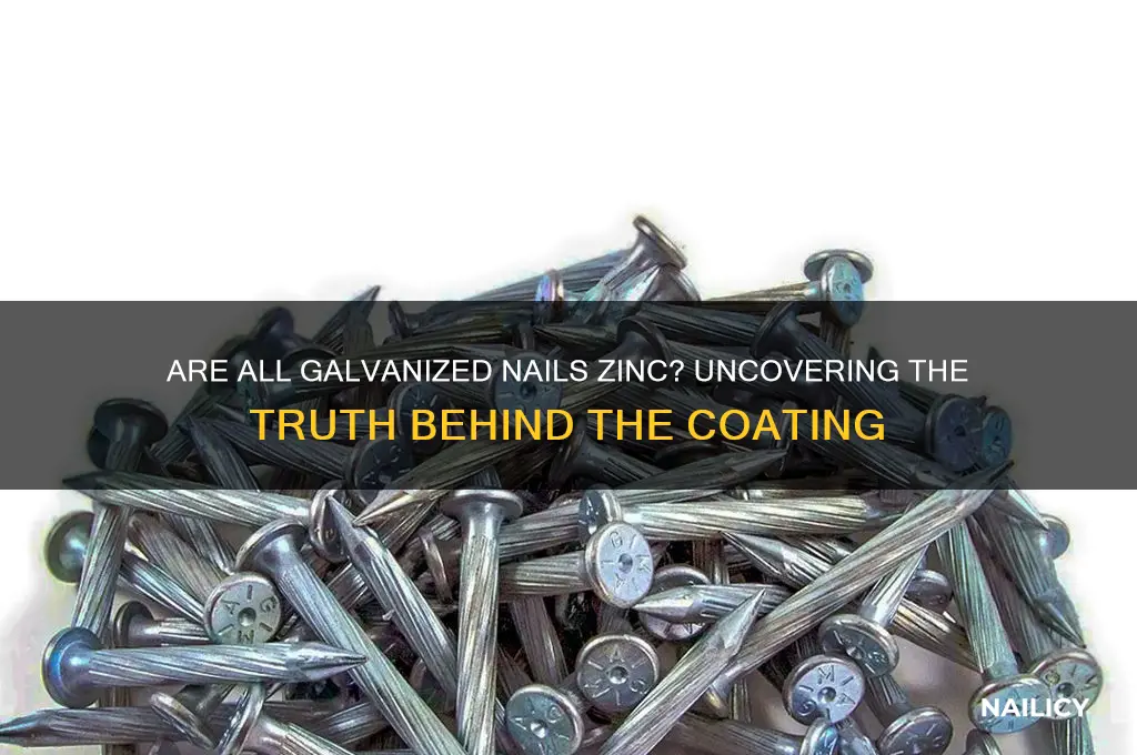 Are All Galvanized Nails Zinc? Uncovering The Truth Behind The Coating ...