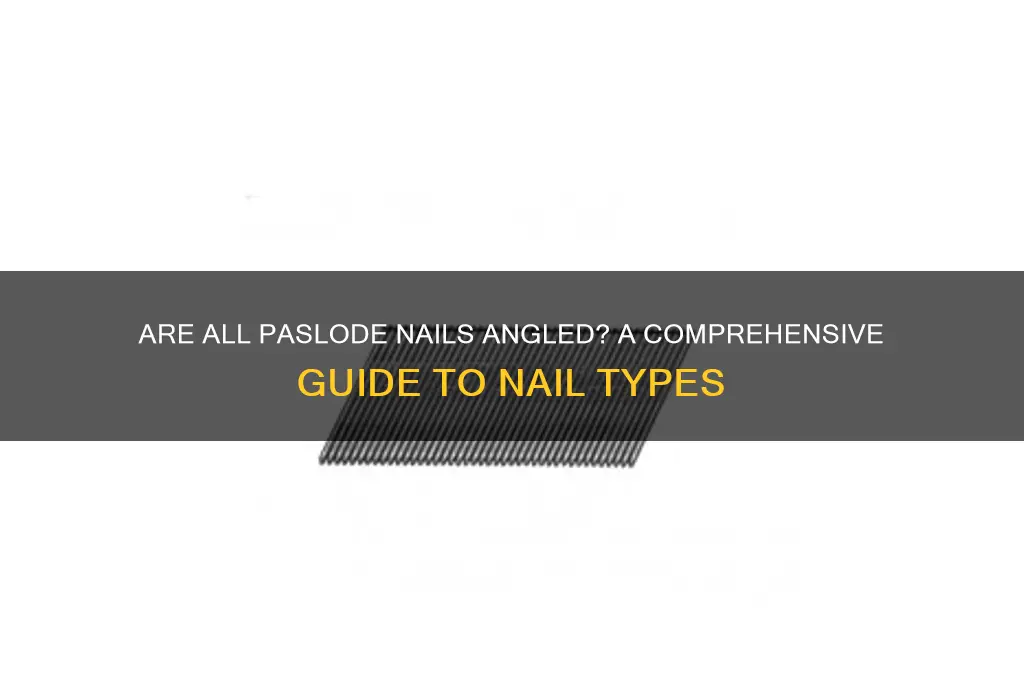 Are All Paslode Nails Angled? A Comprehensive Guide To Nail Types | Nailicy