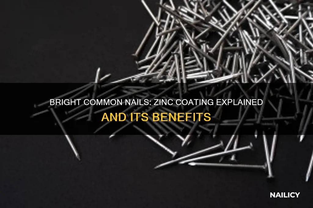 Bright Common Nails: Zinc Coating Explained And Its Benefits | Nailicy
