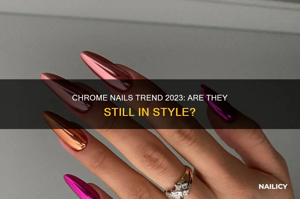 Chrome Nails Trend 2023: Are They Still In Style? | Nailicy