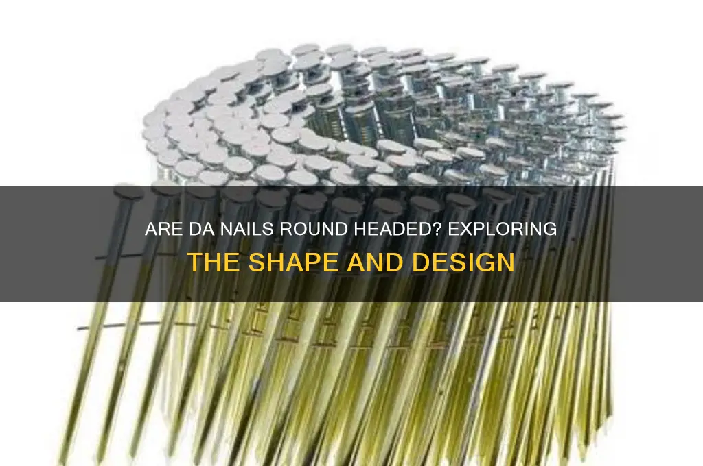 Are Da Nails Round Headed? Exploring The Shape And Design | Nailicy