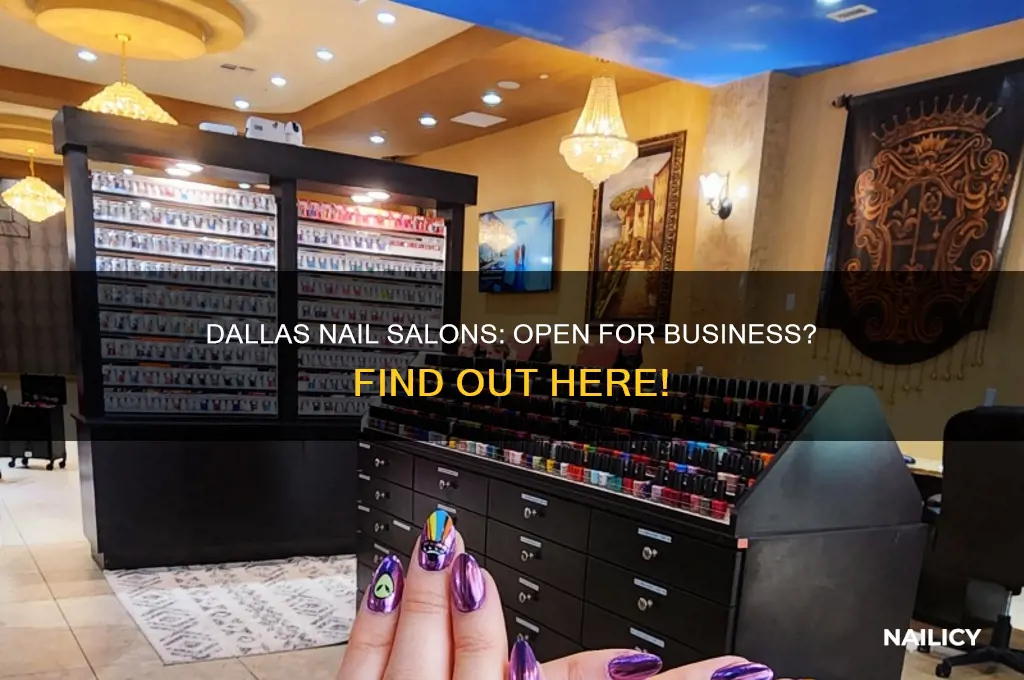Dallas Nail Salons: Open For Business? Find Out Here! | Nailicy