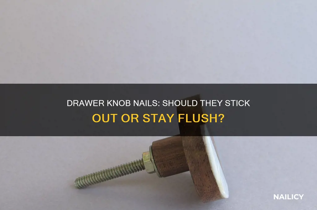Drawer Knob Nails: Should They Stick Out Or Stay Flush? | Nailicy