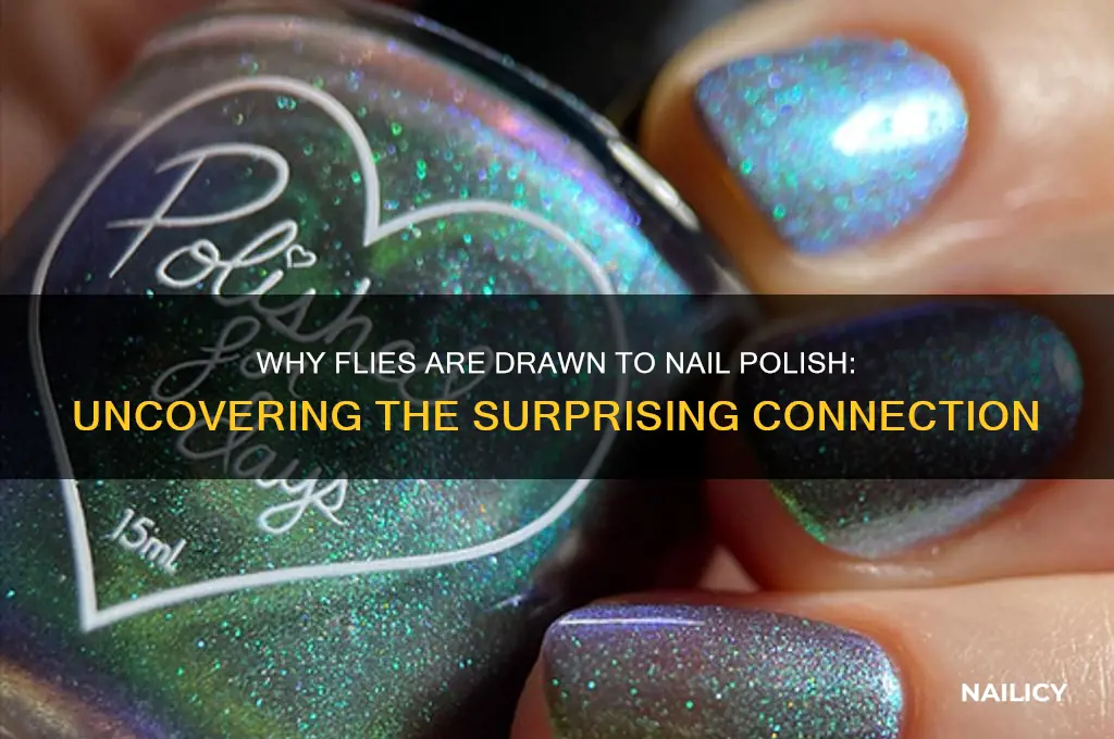 Why Flies Are Drawn To Nail Polish: Uncovering The Surprising ...