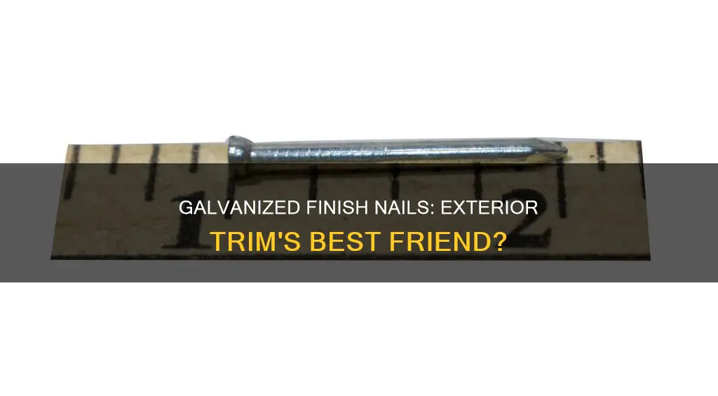 Galvanized Finish Nails: Exterior Trim's Best Friend? | Nailicy