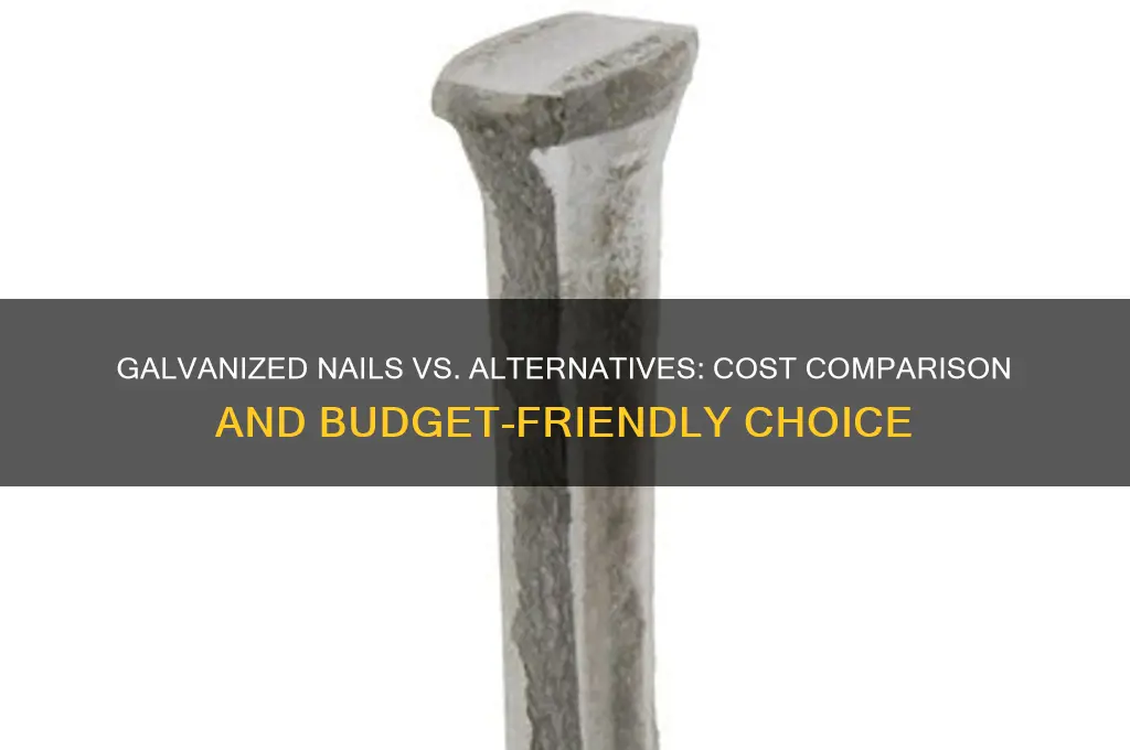Galvanized Nails Vs. Alternatives: Cost Comparison And Budget-Friendly ...