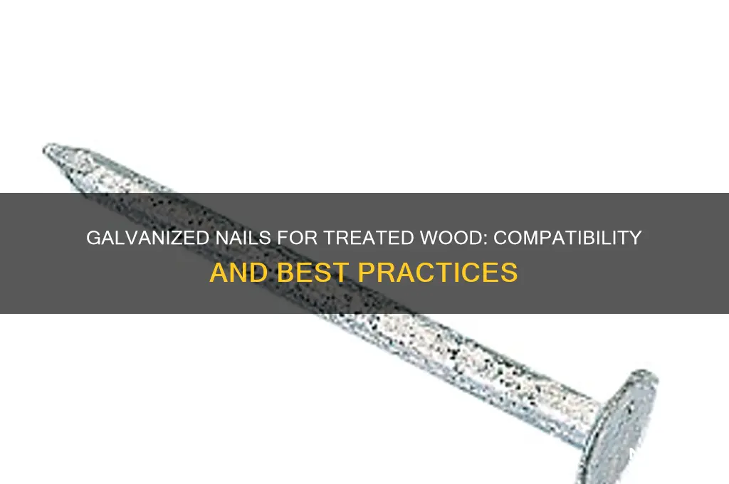 Galvanized Nails For Treated Wood: Compatibility And Best Practices ...