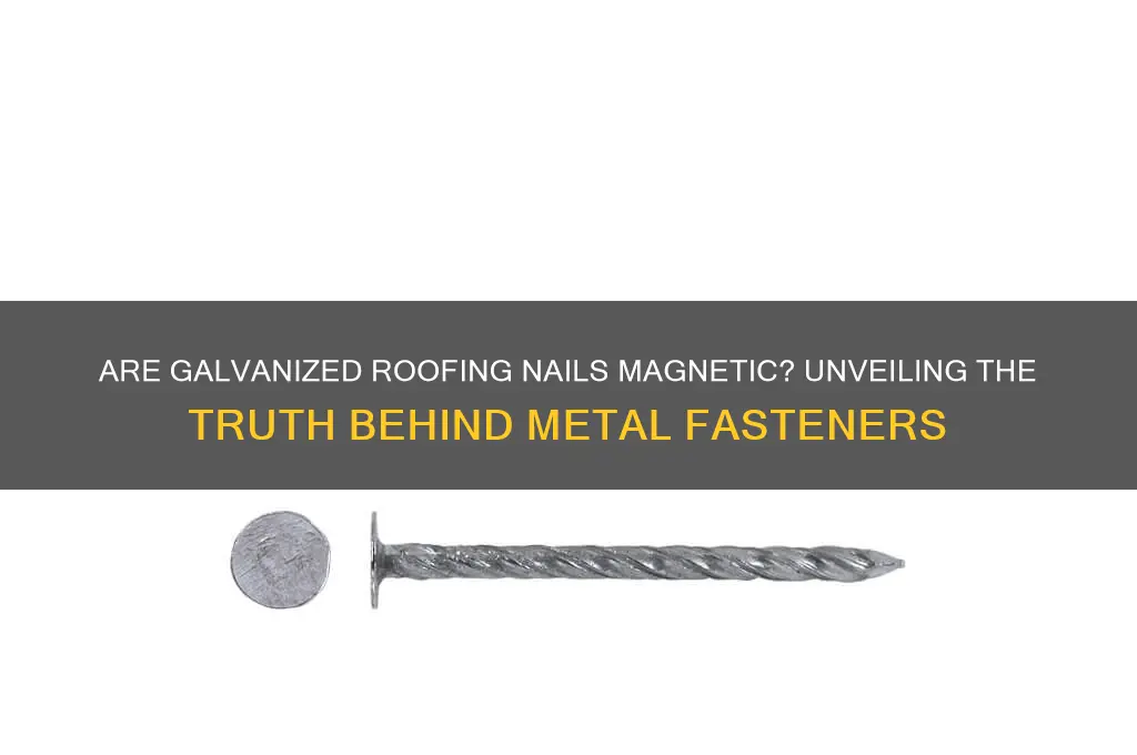 Are Galvanized Roofing Nails Magnetic? Unveiling The Truth Behind Metal ...