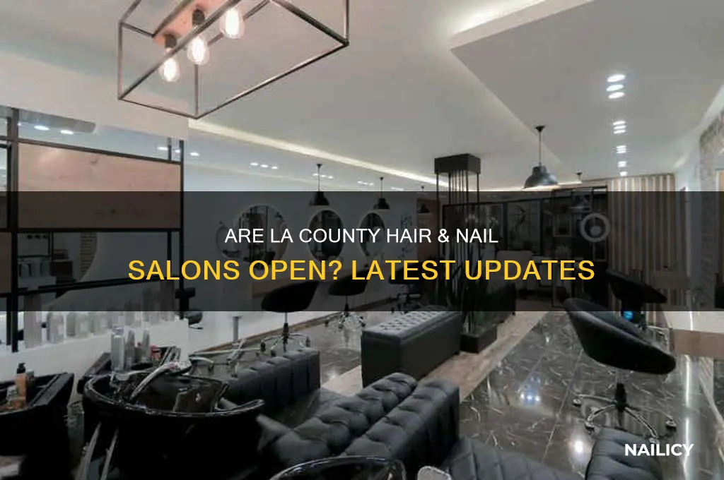 Are La County Hair & Nail Salons Open? Latest Updates | Nailicy