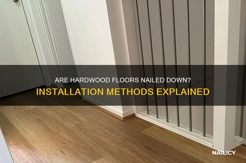 Are Hardwood Floors Nailed Down? Installation Methods Explained | Nailicy