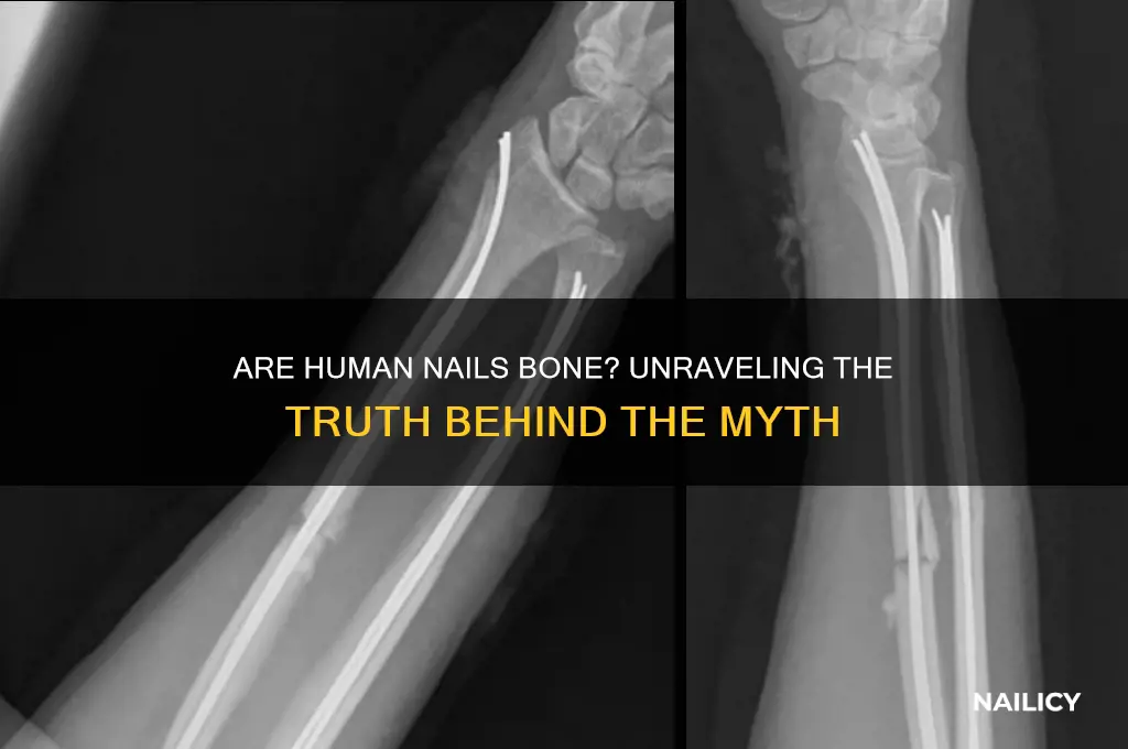 Are Human Nails Bone? Unraveling The Truth Behind The Myth | Nailicy