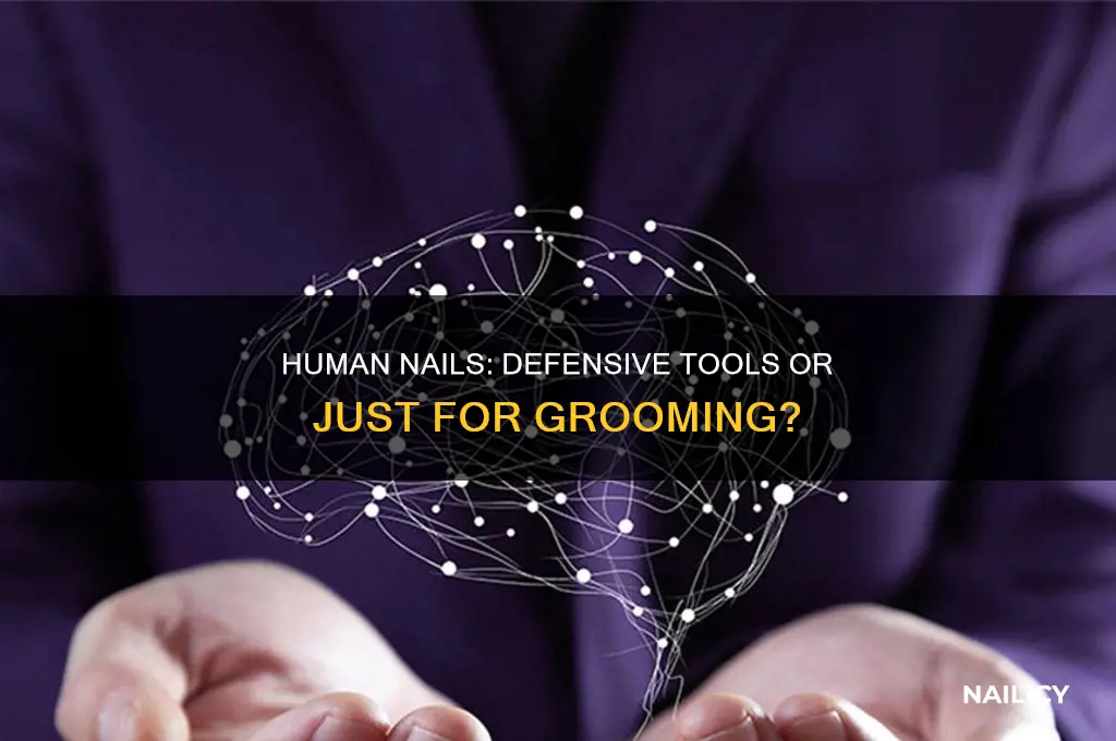 Human Nails: Defensive Tools Or Just For Grooming? | Nailicy