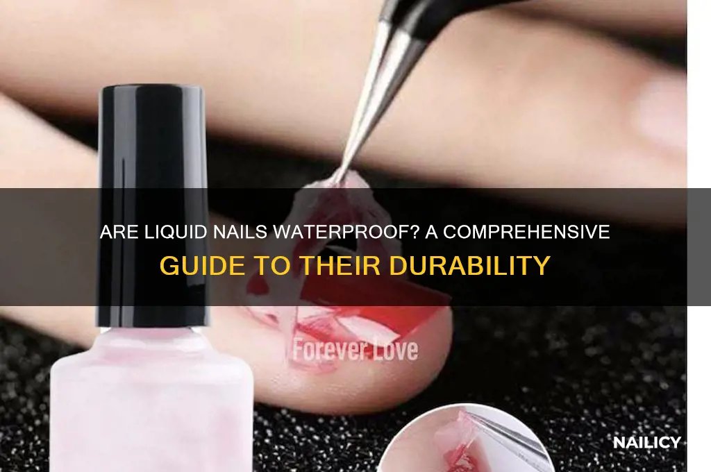 Are Liquid Nails Waterproof? A Comprehensive Guide To Their Durability ...