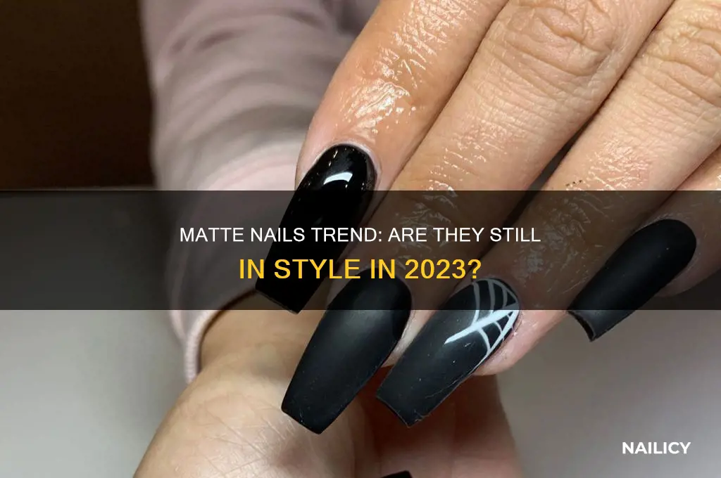 Matte Nails Trend: Are They Still In Style In 2023? | Nailicy