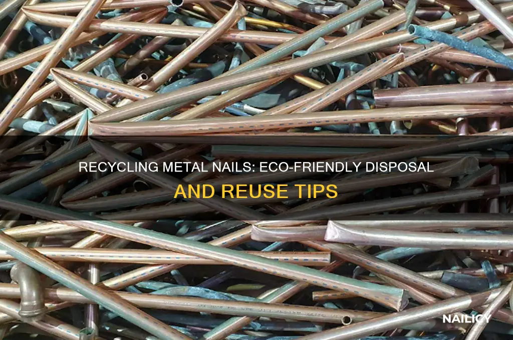 Recycling Metal Nails: Eco-Friendly Disposal And Reuse Tips | Nailicy