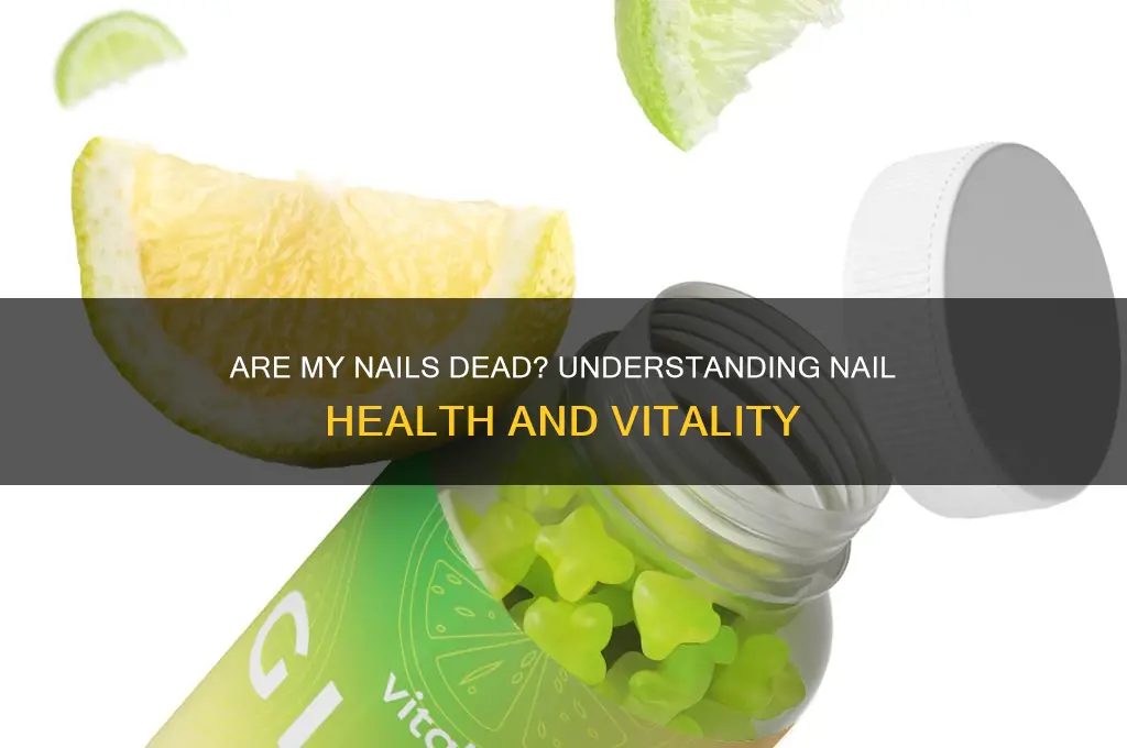 Are My Nails Dead? Understanding Nail Health And Vitality | Nailicy