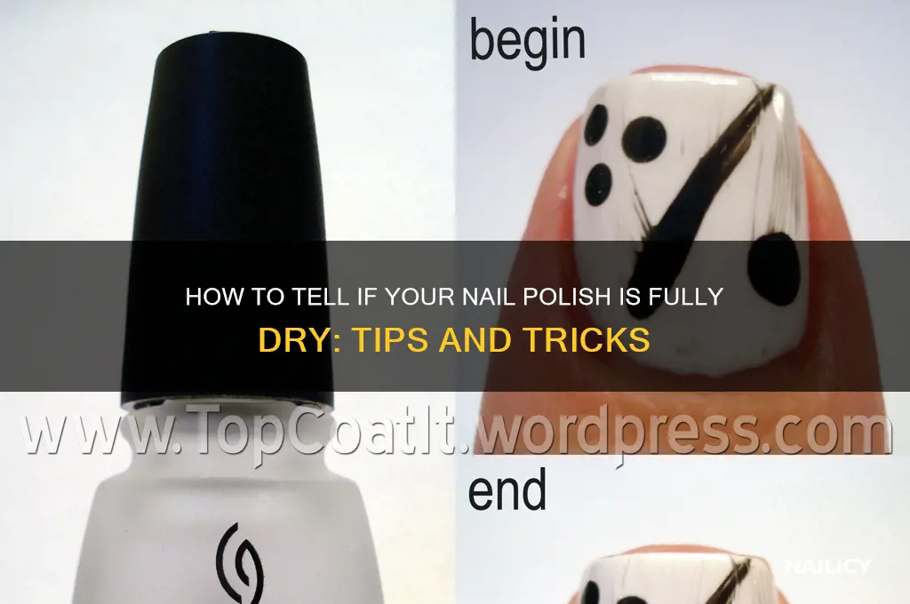 How To Tell If Your Nail Polish Is Fully Dry: Tips And Tricks | Nailicy