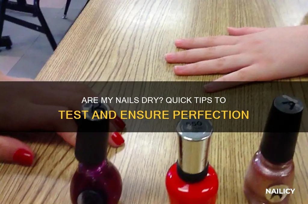 Are My Nails Dry? Quick Tips To Test And Ensure Perfection | Nailicy