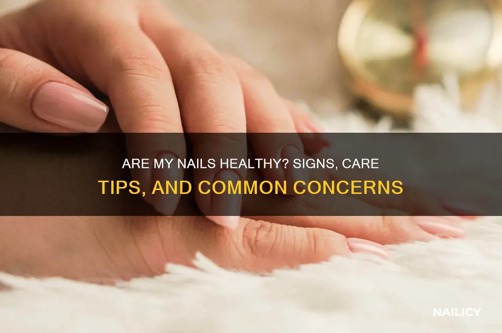 Are My Nails Healthy? Signs, Care Tips, And Common Concerns | Nailicy