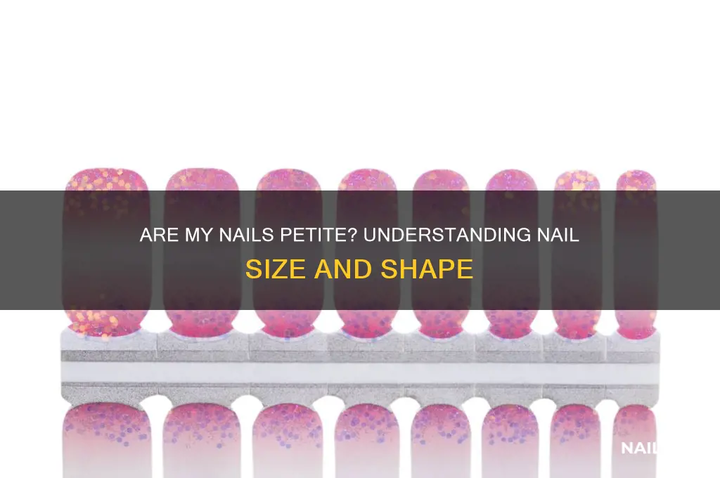 Are My Nails Petite? Understanding Nail Size And Shape | Nailicy
