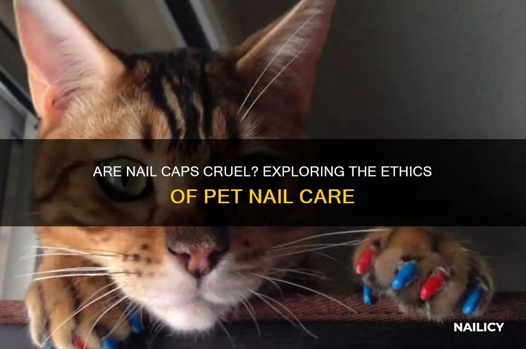 Are Nail Caps Cruel? Exploring The Ethics Of Pet Nail Care | Nailicy