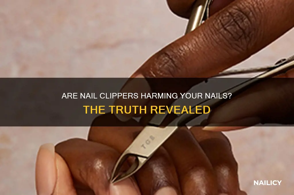 Are Nail Clippers Harming Your Nails? The Truth Revealed | Nailicy
