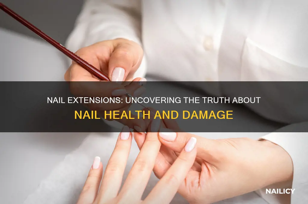 Nail Extensions: Uncovering The Truth About Nail Health And Damage ...