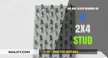 Nail Plates On 2X4 Studs: Are They Necessary For Framing? | Nailicy