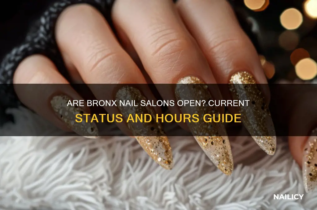 Are Bronx Nail Salons Open? Current Status And Hours Guide | Nailicy