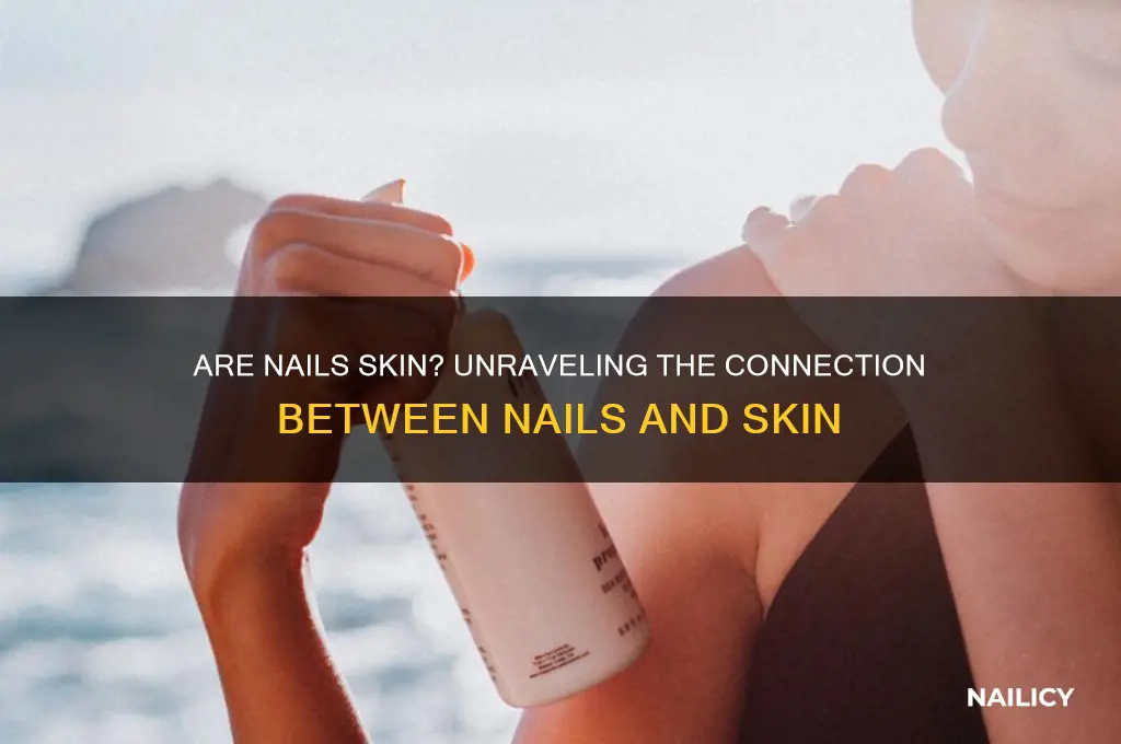 Are Nails Skin? Unraveling The Connection Between Nails And Skin | Nailicy