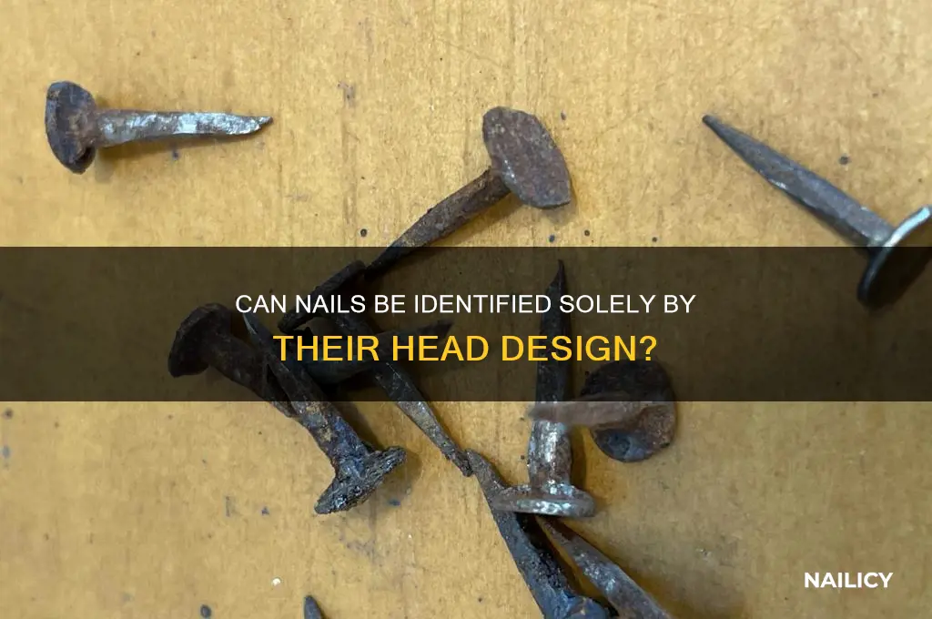 Can Nails Be Identified Solely By Their Head Design? | Nailicy