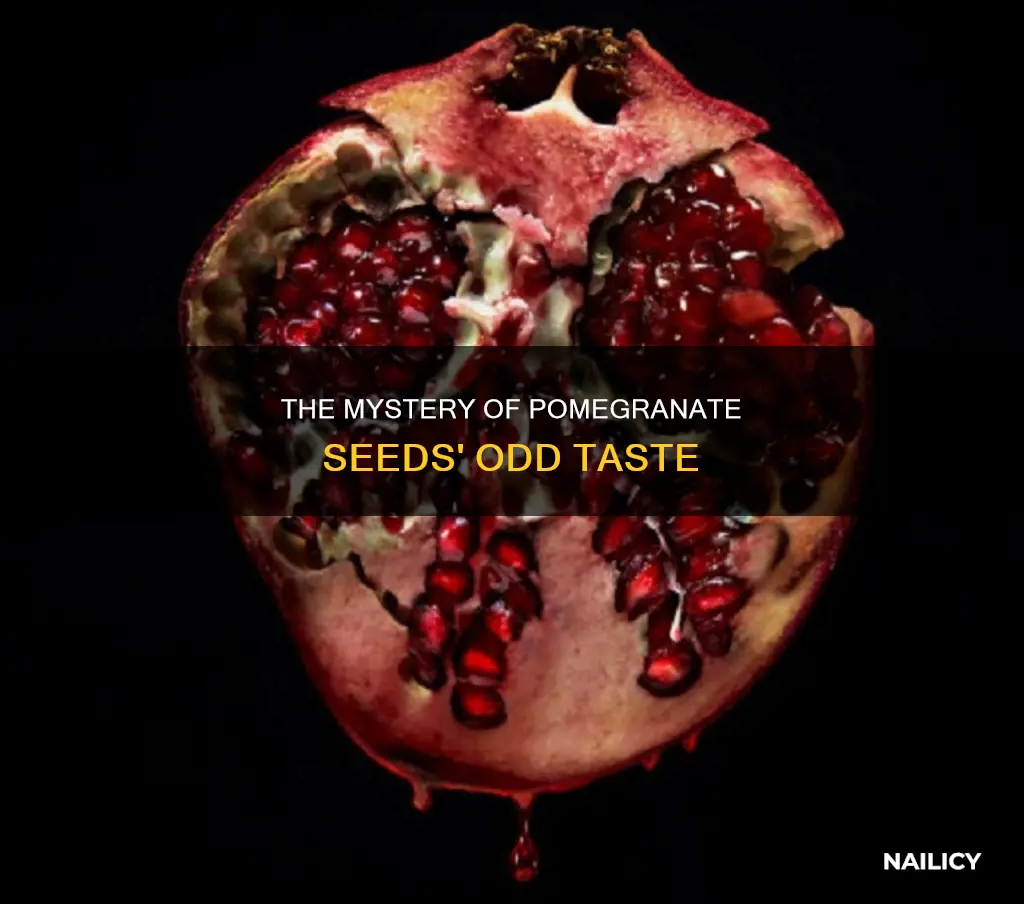 The Mystery Of Pomegranate Seeds' Odd Taste | Nailicy