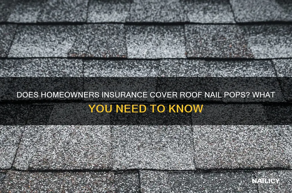 Does Homeowners Insurance Cover Roof Nail Pops? What You Need To Know ...