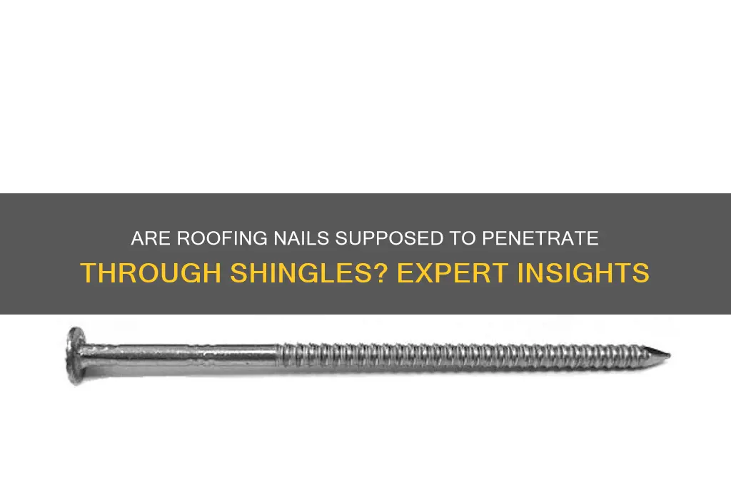 Are Roofing Nails Supposed To Penetrate Through Shingles? Expert ...