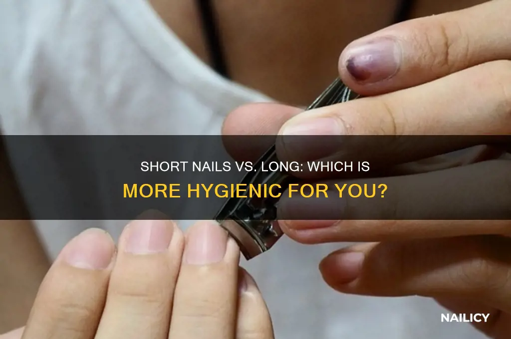 Short Nails Vs. Long: Which Is More Hygienic For You? | Nailicy