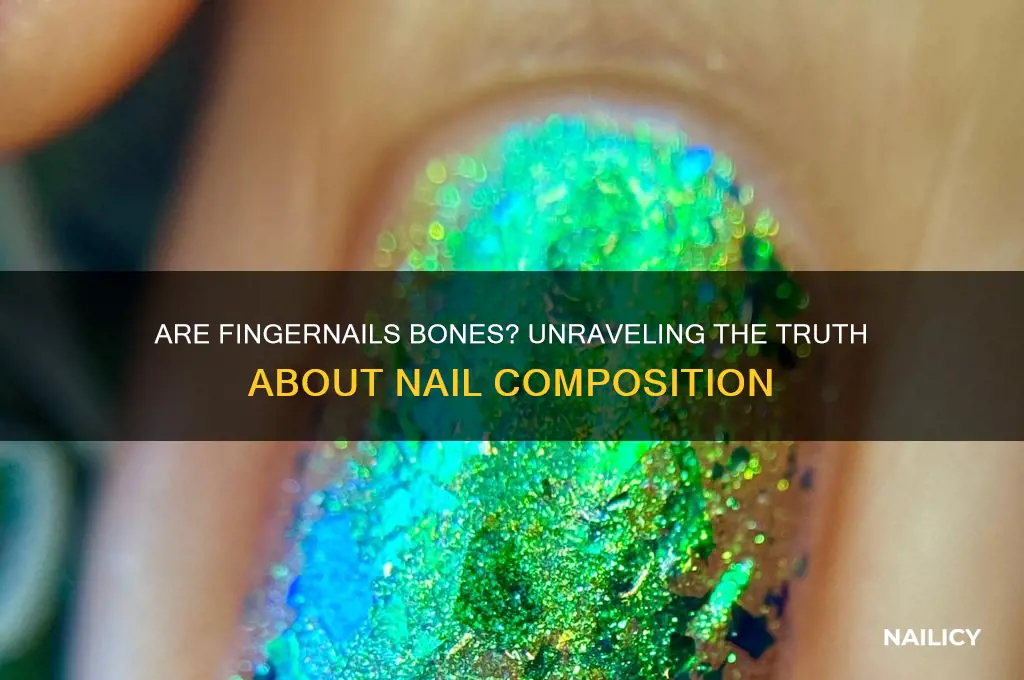 Are Fingernails Bones? Unraveling The Truth About Nail Composition ...