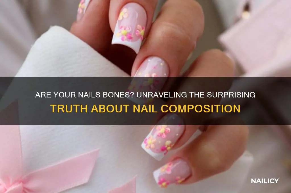 Are Your Nails Bones? Unraveling The Surprising Truth About Nail ...