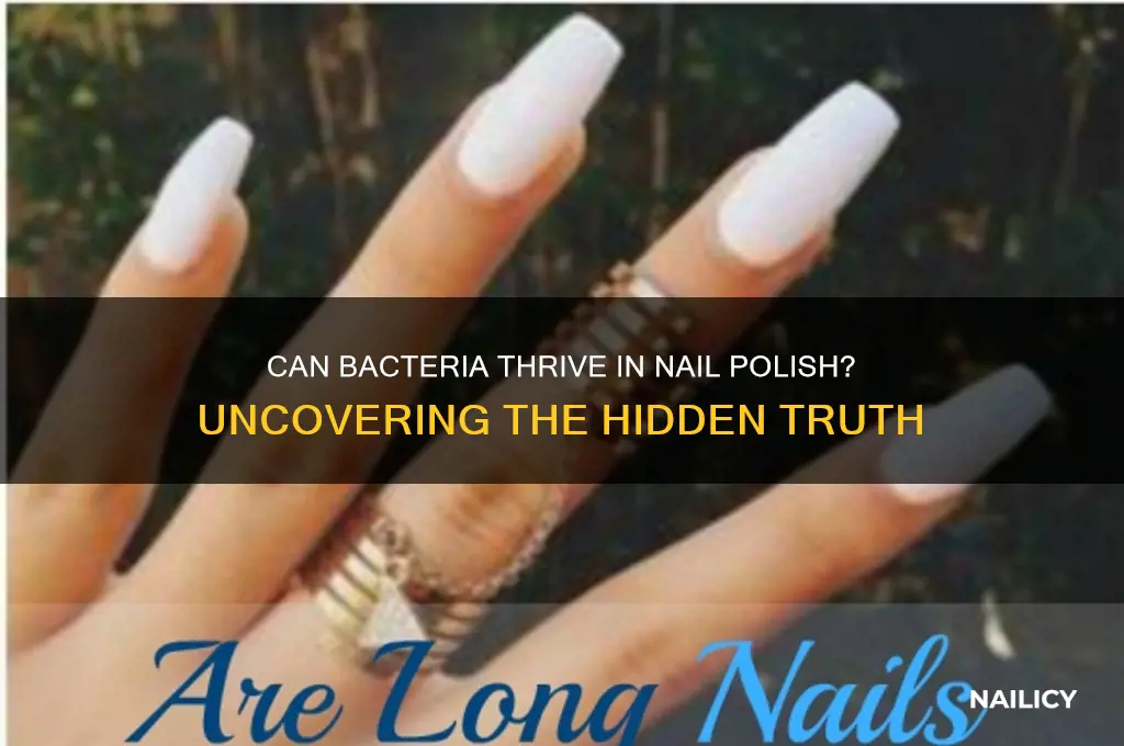 Can Bacteria Thrive In Nail Polish? Uncovering The Hidden Truth | Nailicy