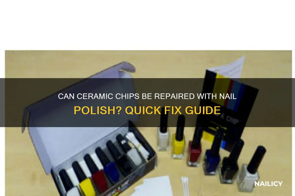 Can Ceramic Chips Be Repaired With Nail Polish? Quick Fix Guide | Nailicy