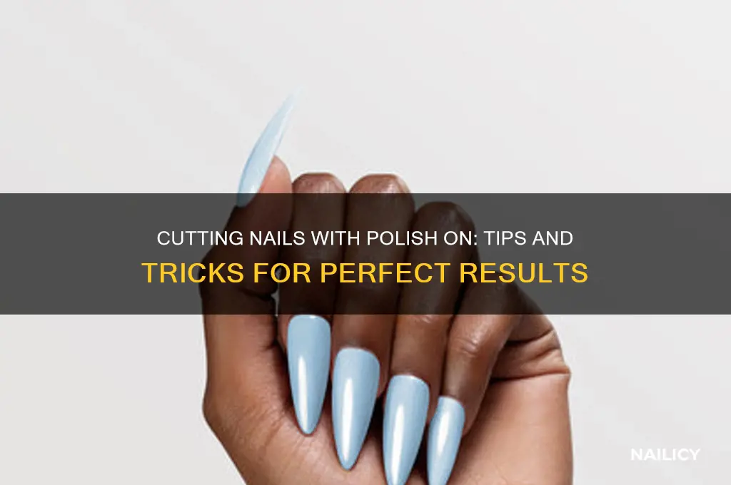 Cutting Nails With Polish On: Tips And Tricks For Perfect Results | Nailicy
