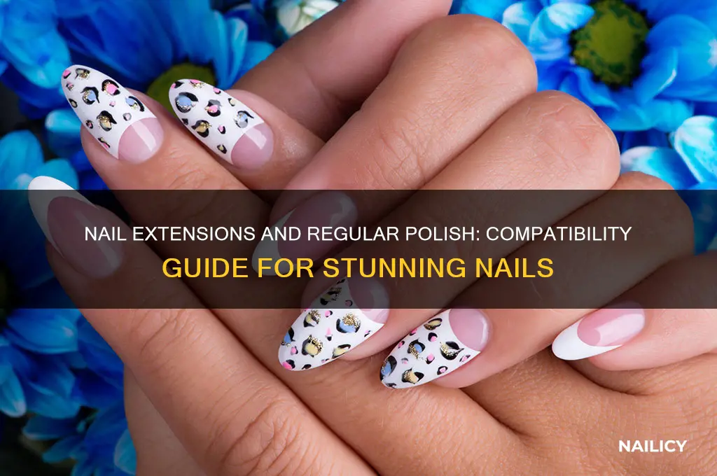 Nail Extensions And Regular Polish: Compatibility Guide For Stunning ...