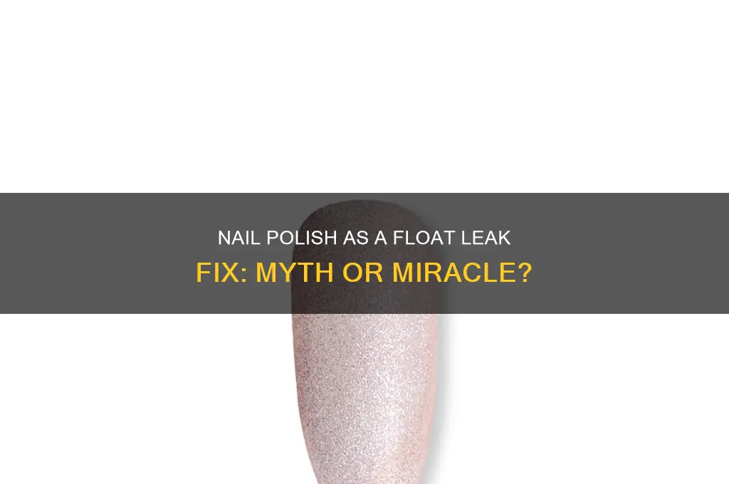 Nail Polish As A Float Leak Fix: Myth Or Miracle? | Nailicy