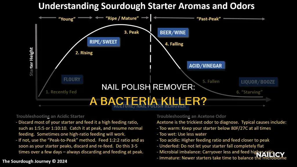 Nail Polish Remover: A Bacteria Killer? | Nailicy