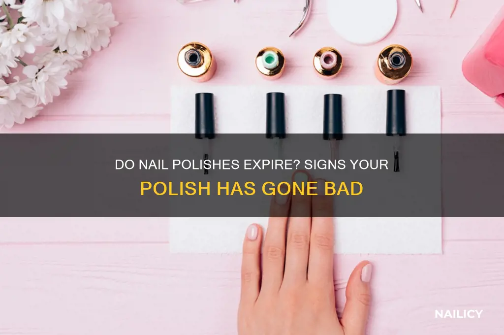 Do Nail Polishes Expire? Signs Your Polish Has Gone Bad | Nailicy