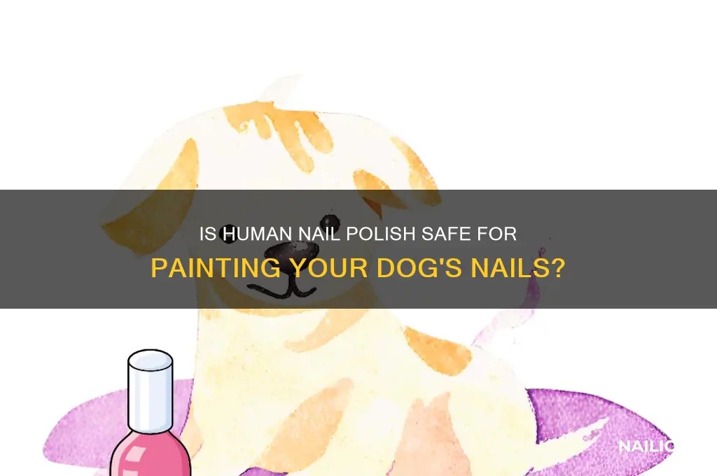 Is Human Nail Polish Safe For Painting Your Dog's Nails? | Nailicy