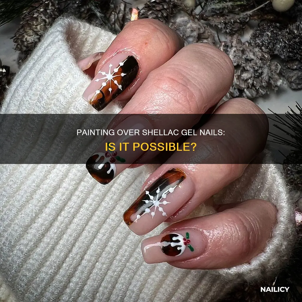 Can You Paint Over Shellac