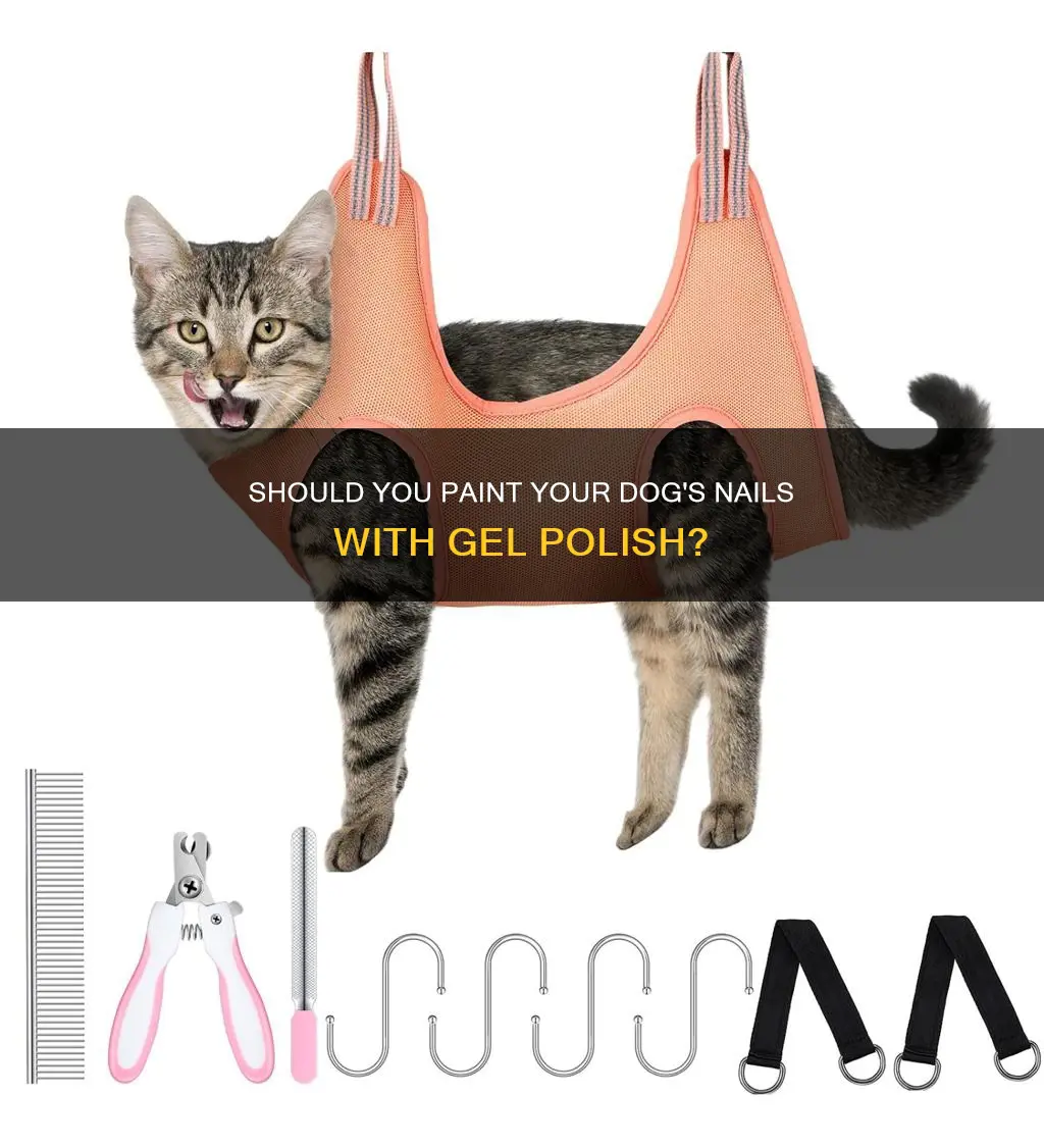 Should You Paint Your Dog's Nails With Gel Polish? | Nailicy