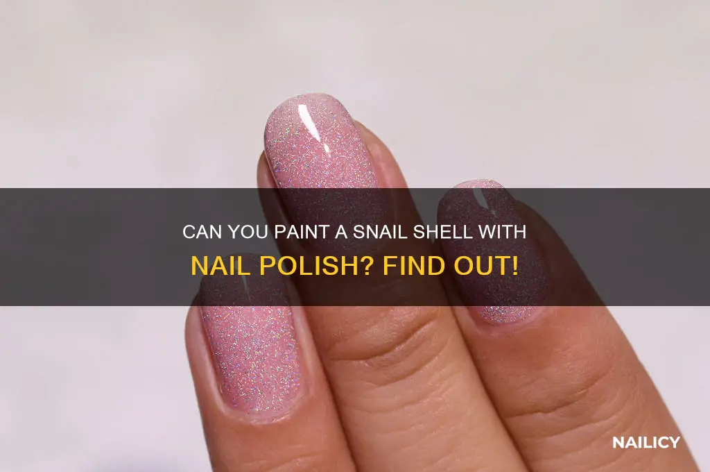 Can You Paint A Snail Shell With Nail Polish? Find Out! | Nailicy