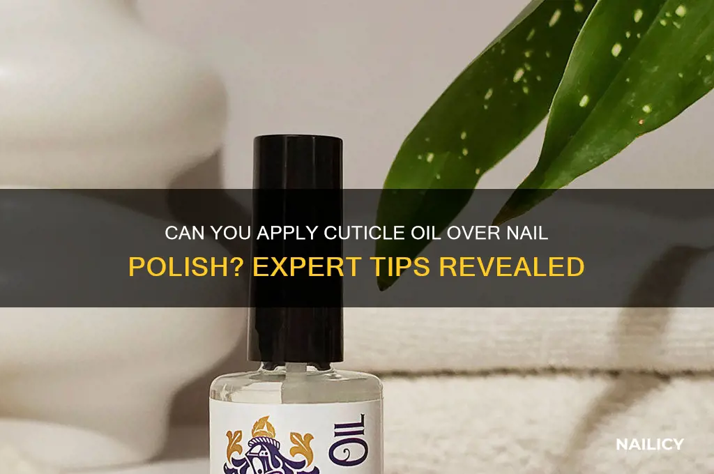 Can You Apply Cuticle Oil Over Nail Polish? Expert Tips Revealed | Nailicy