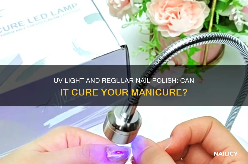 Uv Light And Regular Nail Polish: Can It Cure Your Manicure? | Nailicy